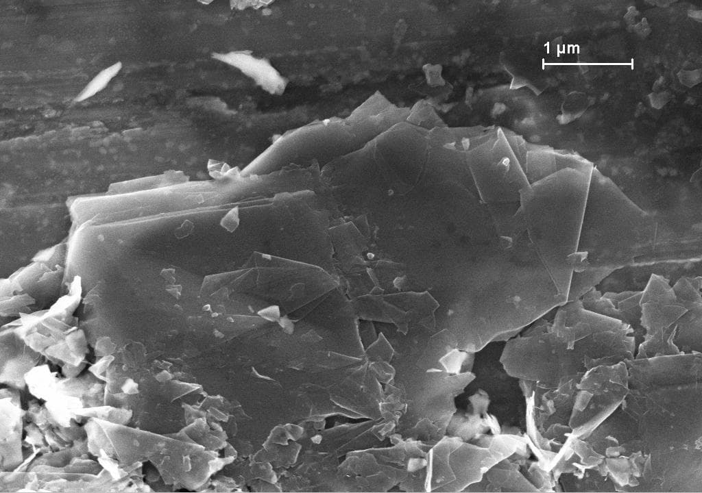 Microscope Pictures | Cool Microscopic Images