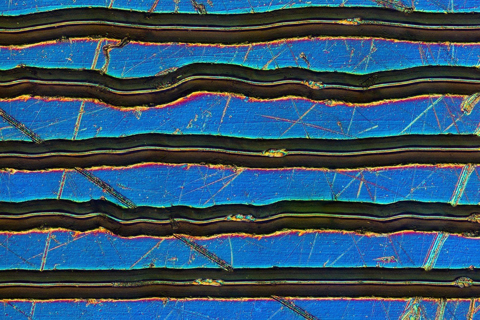 Microscope Pictures | Cool Microscopic Images