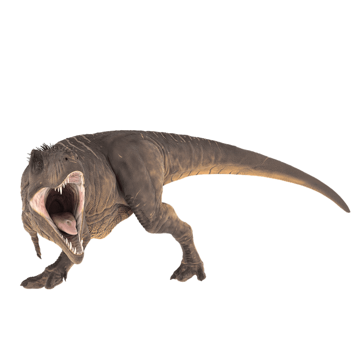 Debunking Dinosaur Facts That Aren't True