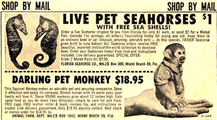 The Greatest Old Vintage Comic Book Ads, Ranked