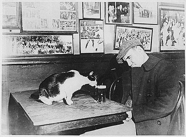 Historic Pictures of Cats | Cats in History