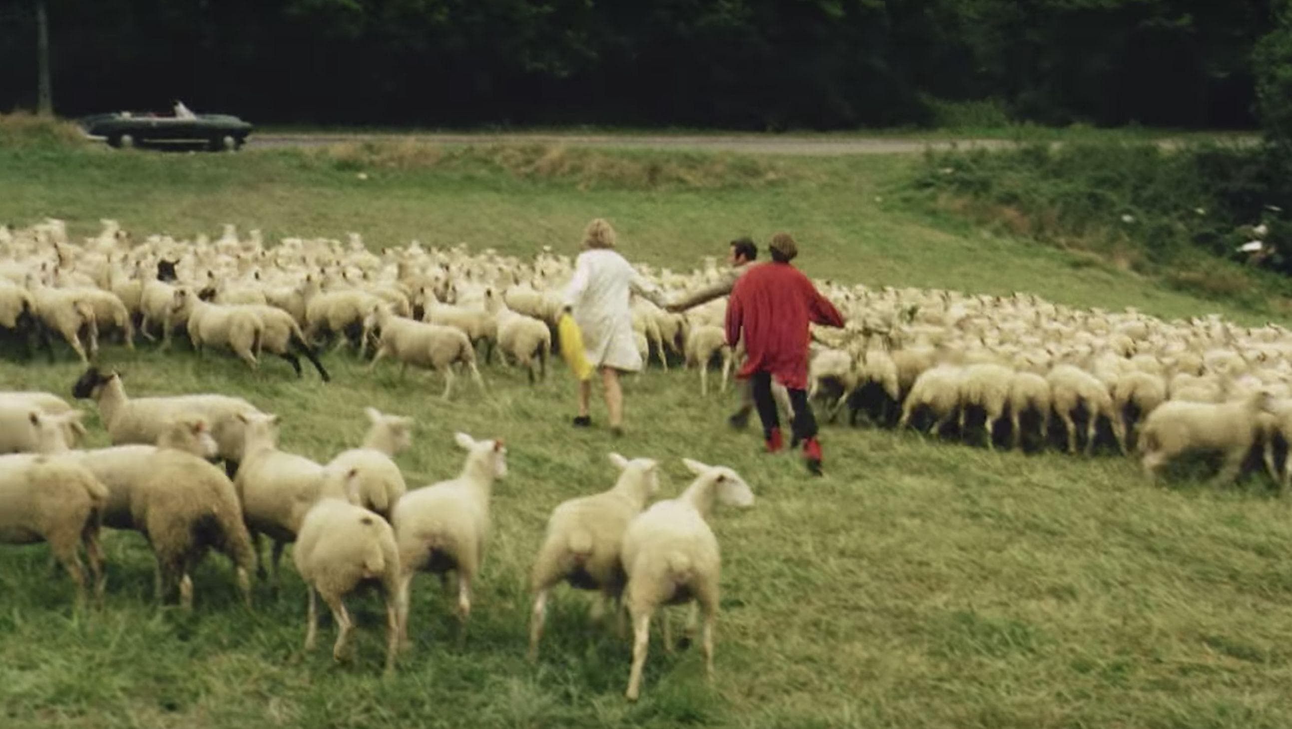 Times Animals Were Harmed Or Killed On Movie Sets