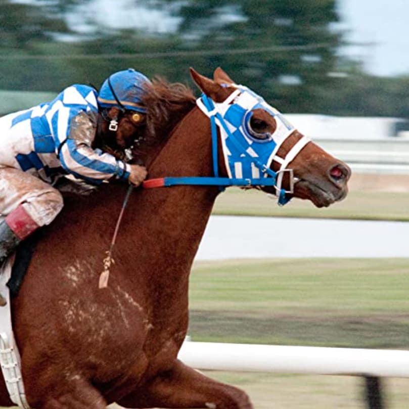 The 25+ Best Horse Characters | List of Fictional Horses