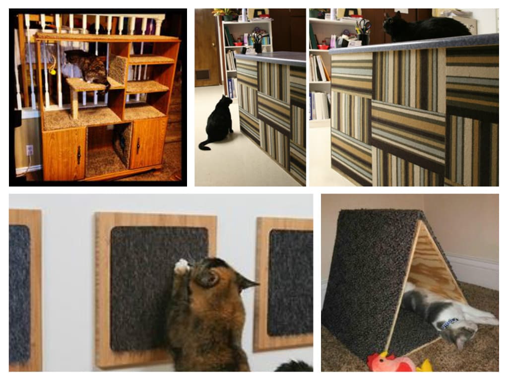 Things Cats Love | Cat Toys from Everyday Objects