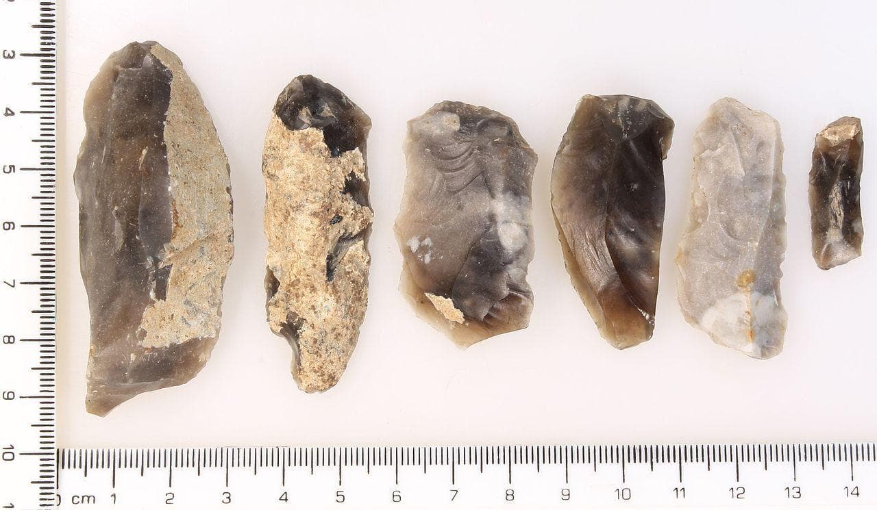 History of Shaving | How People Used to Shave Without Razors