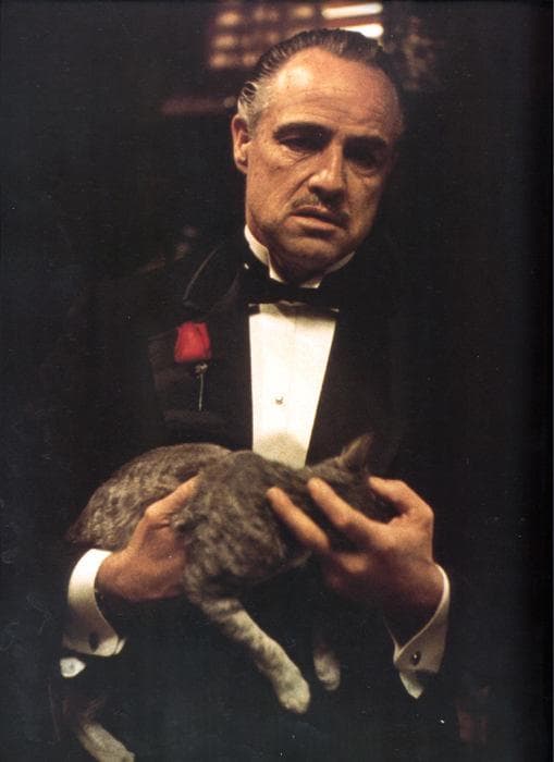 Godfather Trivia, Facts