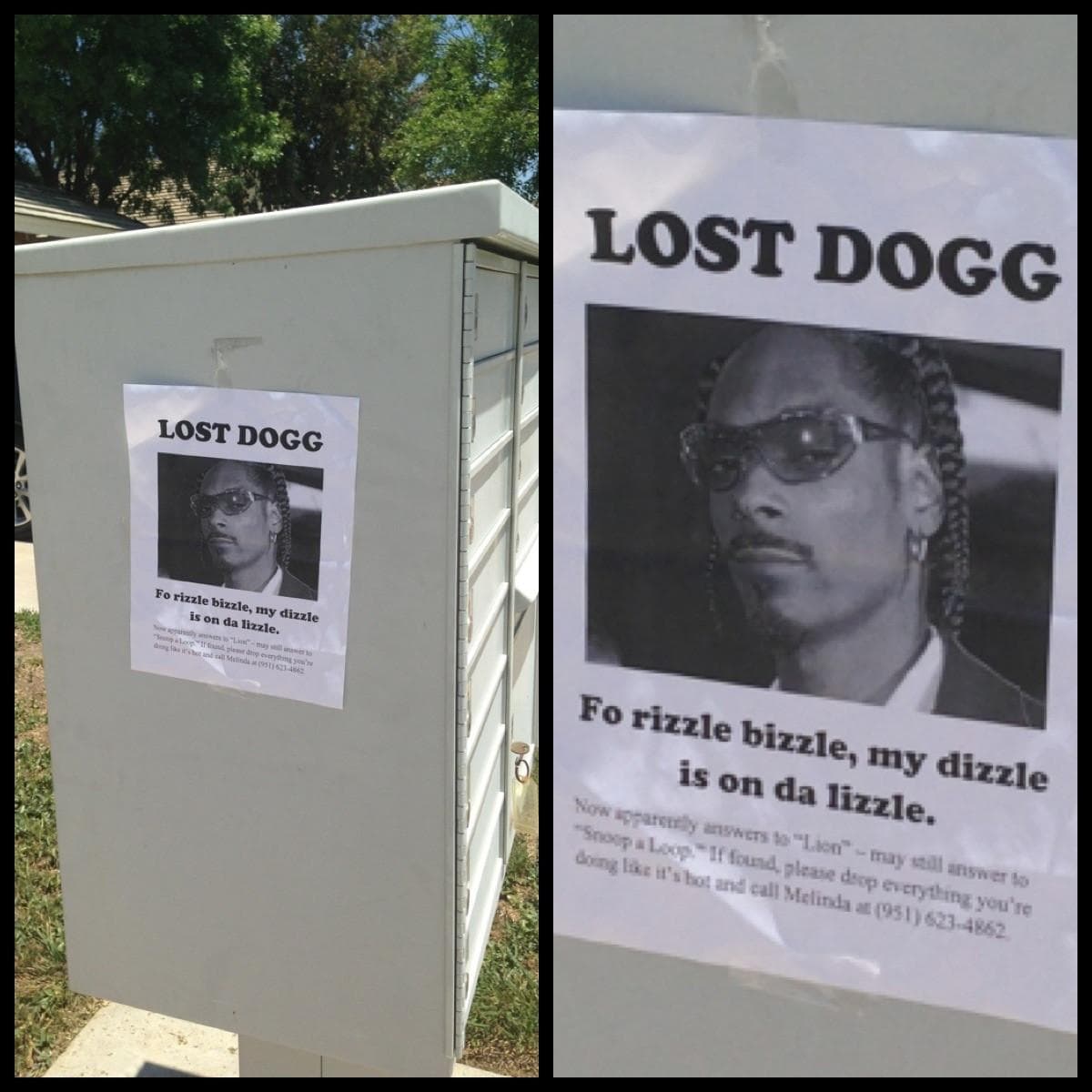 Funny Posters for Missing People & Cats | Missing Posters