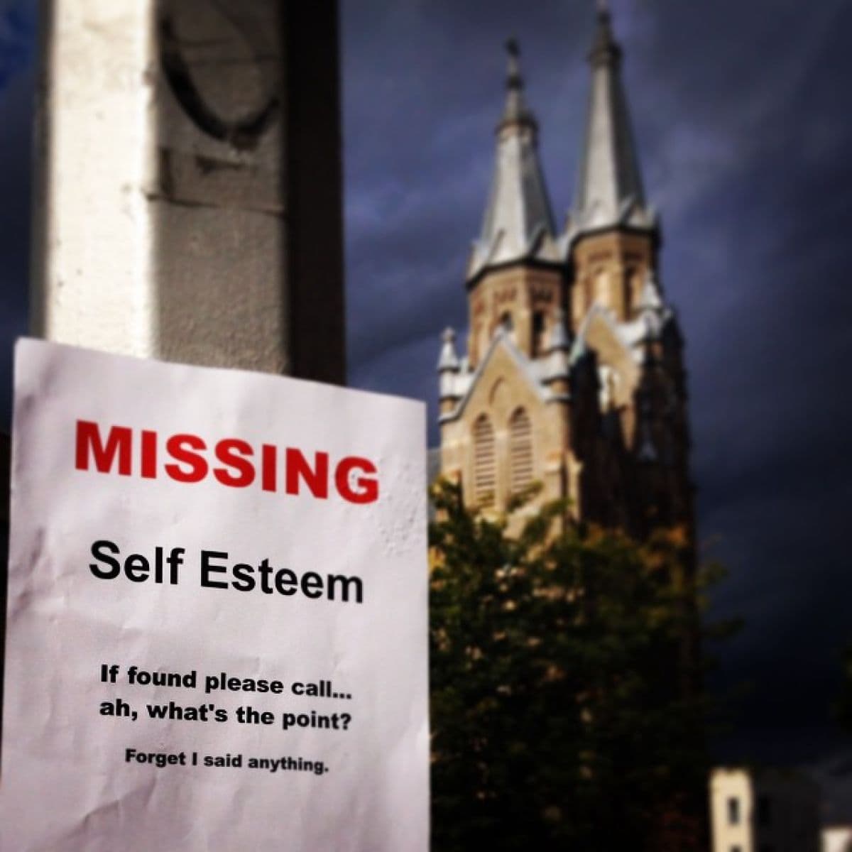 Funny Posters for Missing People & Cats | Missing Posters