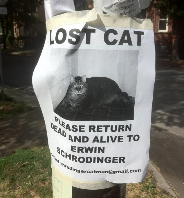 Funny Posters for Missing People & Cats | Missing Posters