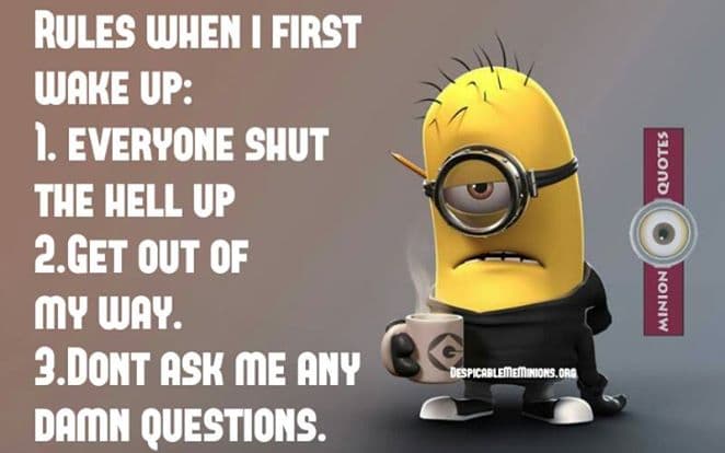 Minion Quotes | Funny Minions Quotes and Sayings for Your Facebook!