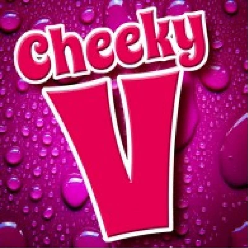 Best Wine Cooler Brands | Top Wine Cooler Companies