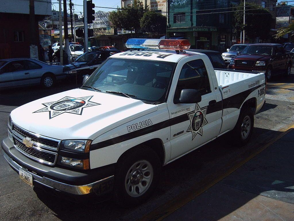 International Police Cars | Cop Cars from Different Countries