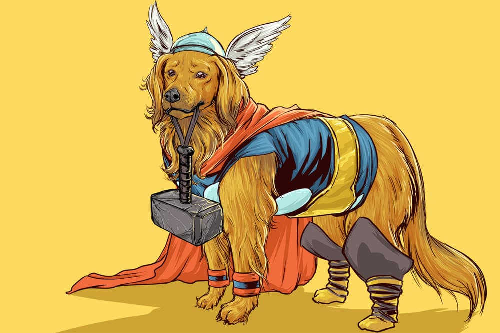 The Best Marvel Comics Characters as Dogs, Ranked