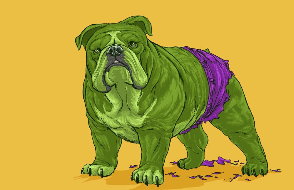 The Best Marvel Comics Characters as Dogs, Ranked