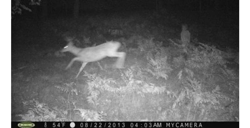 The 27 Creepiest Pictures on the Internet