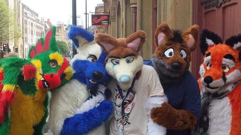 Facts About Furries | Inside Furry Fandom