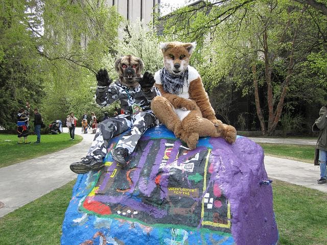 Facts About Furries | Inside Furry Fandom