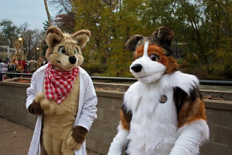 Facts About Furries | Inside Furry Fandom