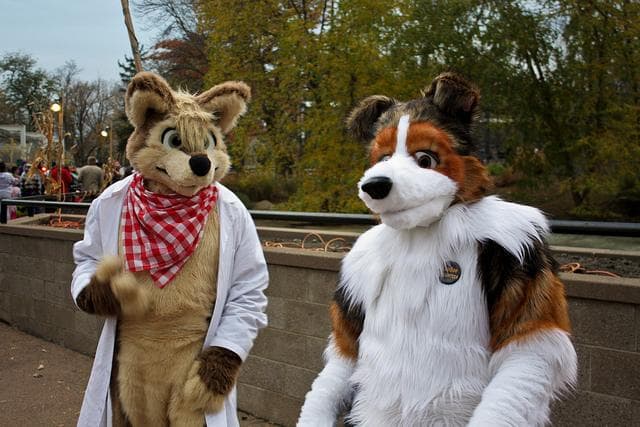 Facts About Furries | Inside Furry Fandom
