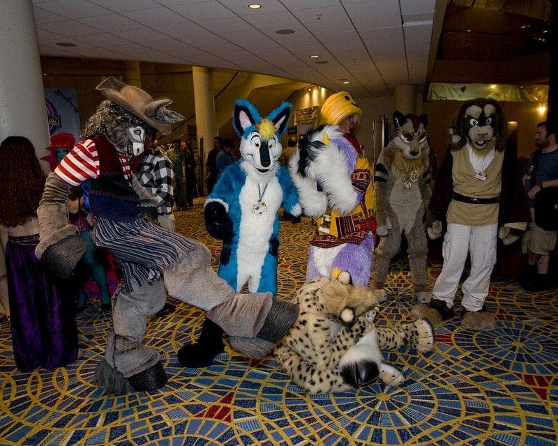 Facts About Furries | Inside Furry Fandom