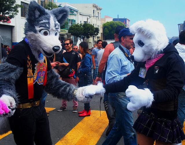 Facts About Furries | Inside Furry Fandom