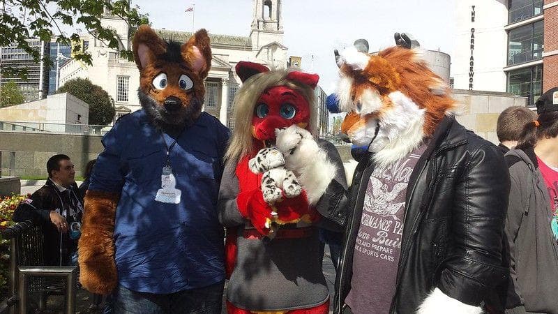 Facts About Furries | Inside Furry Fandom