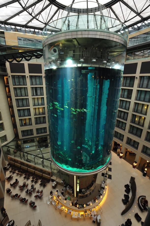 13 Incredibly Creative Aquariums That Will Make You Jealous