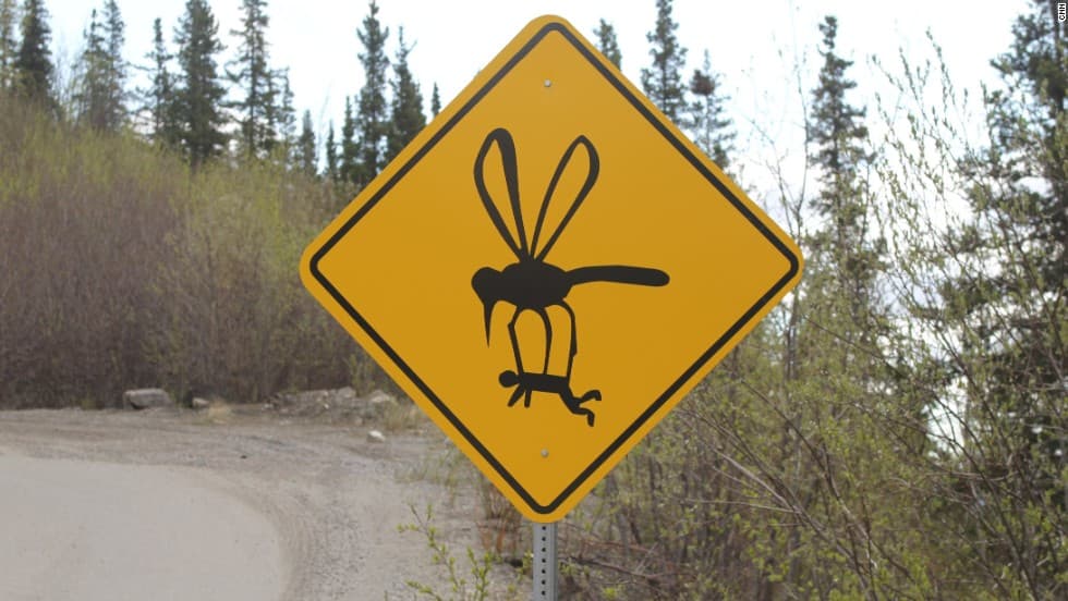 34 of the Funniest Street Signs on the Open Road