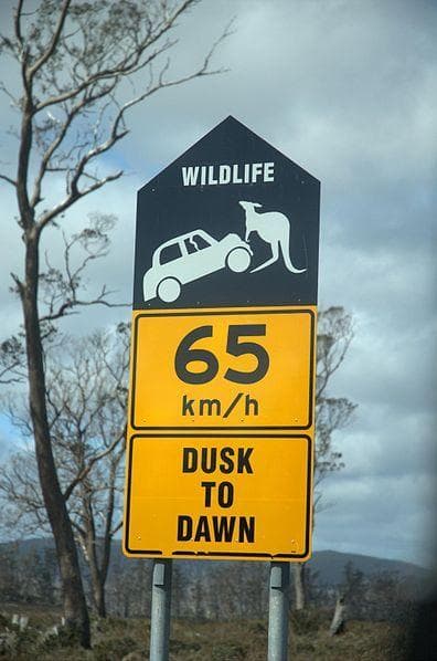 34 of the Funniest Street Signs on the Open Road