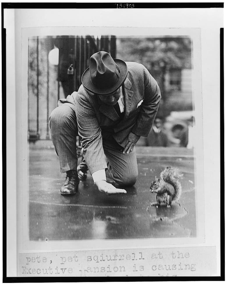 20+ Photos Of Adorable US Presidential Pets