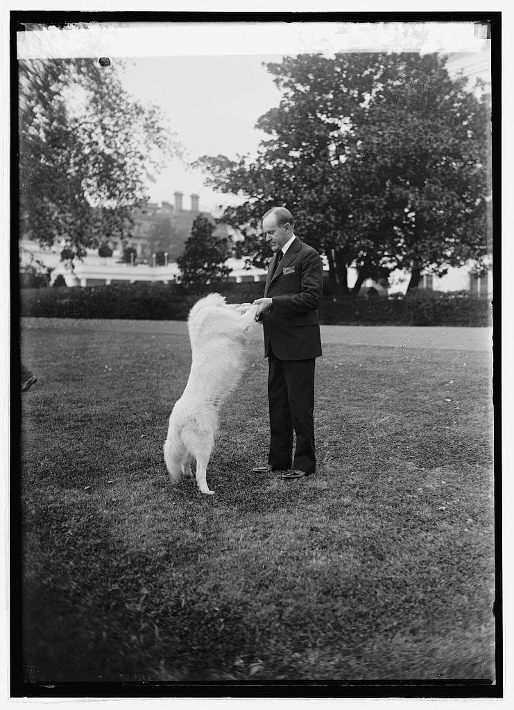 20+ Photos Of Adorable US Presidential Pets