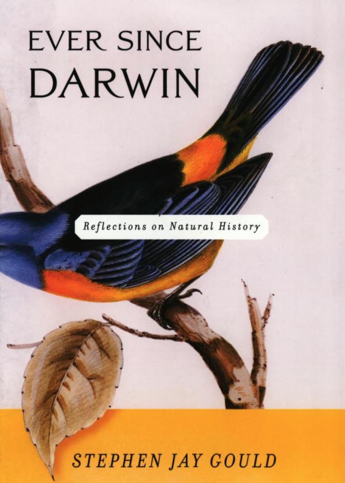 20 Inventions and Discoveries Made By People High on Drugs