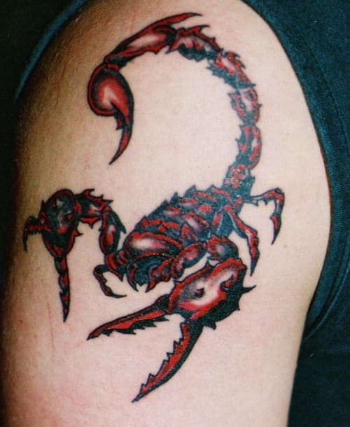 Scorpio Tattoos | Ideas for Scorpio Tattoo Designs