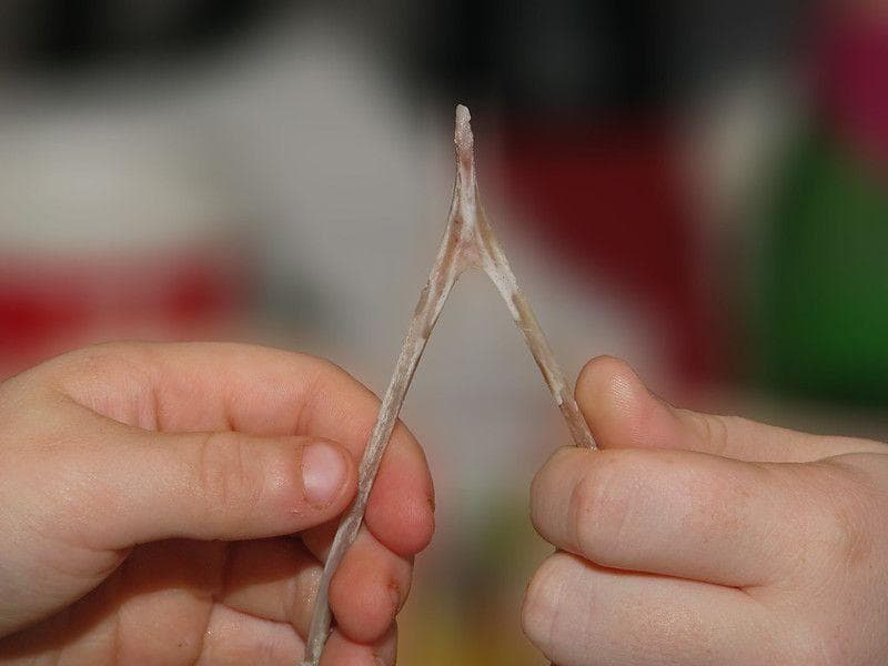 Weird Thanksgiving Traditions