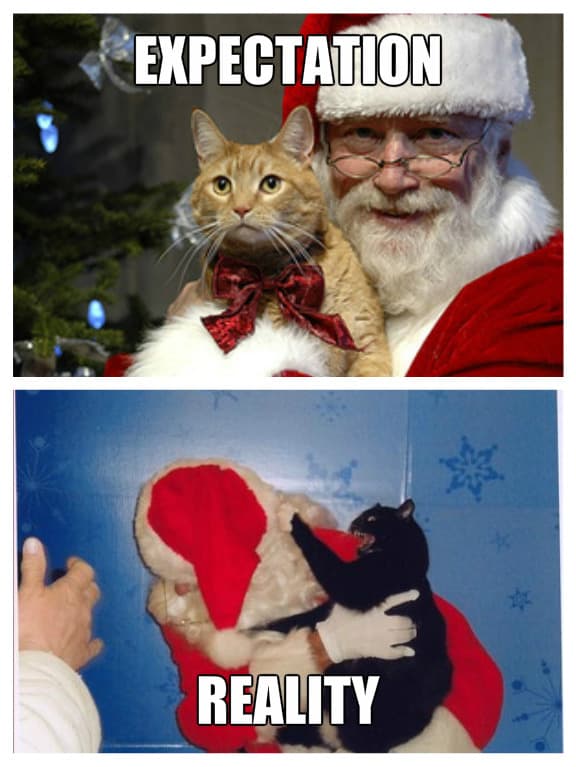 Christmas FAIL List | Expectation Versus Reality on Xmas