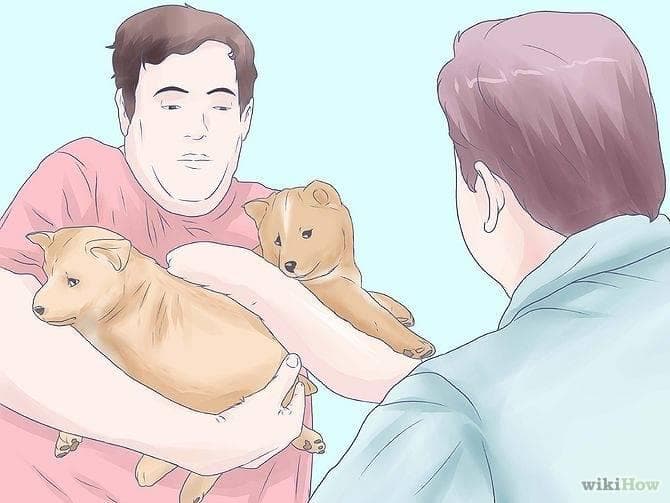 Weird WikiHow Pictures And Illustrations That Make You Say WTF
