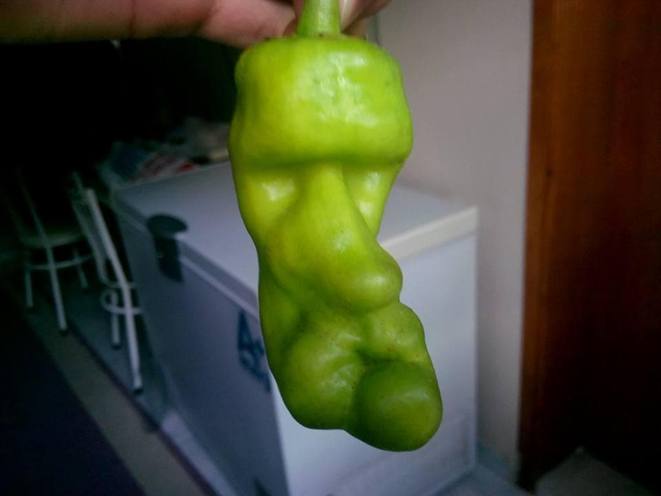 Things That Look Sad | Sad Pareidolia