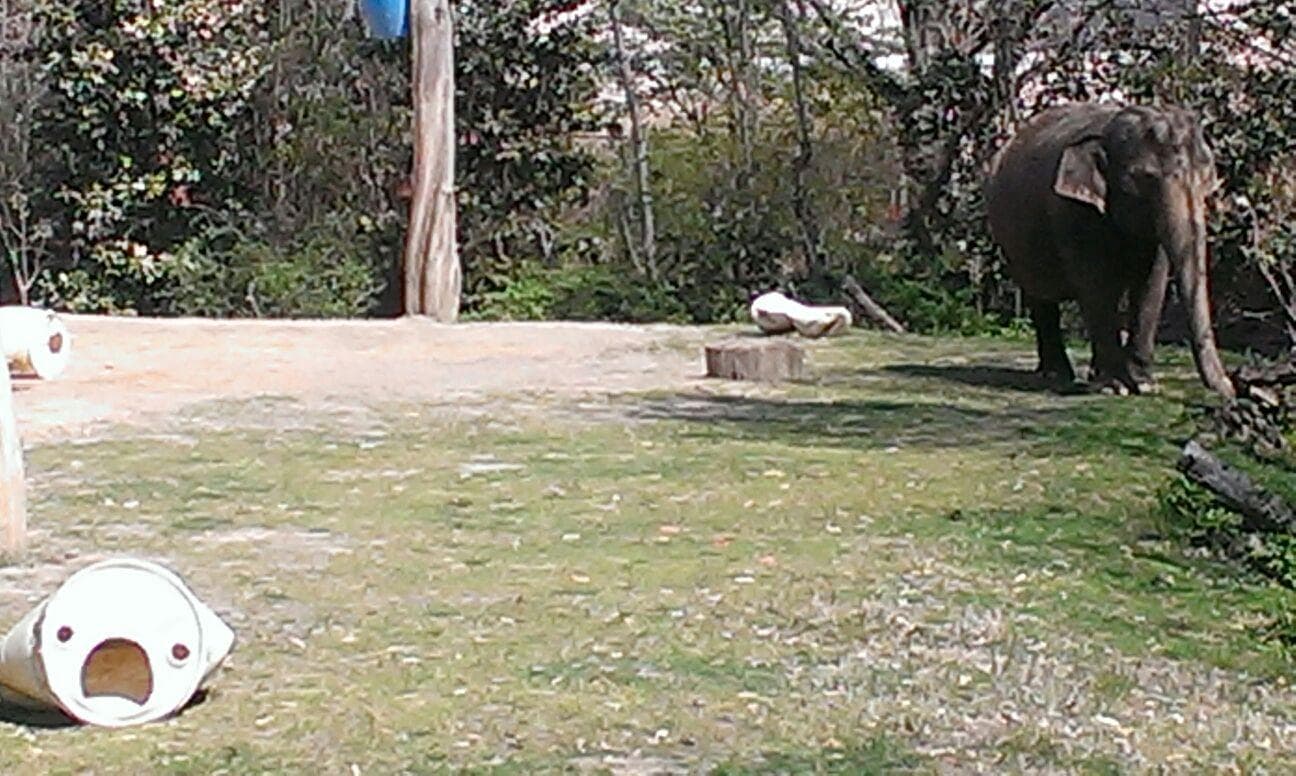 Things That Look Sad | Sad Pareidolia