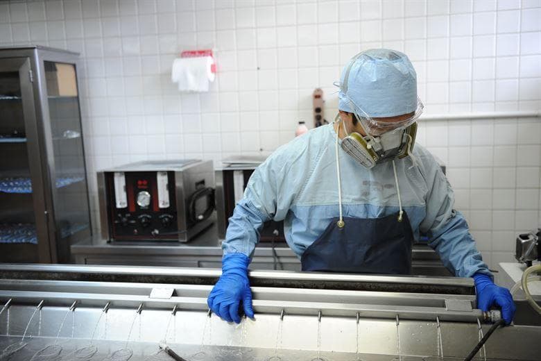 Funeral Home Jobs, Facts, and Inside the Casket