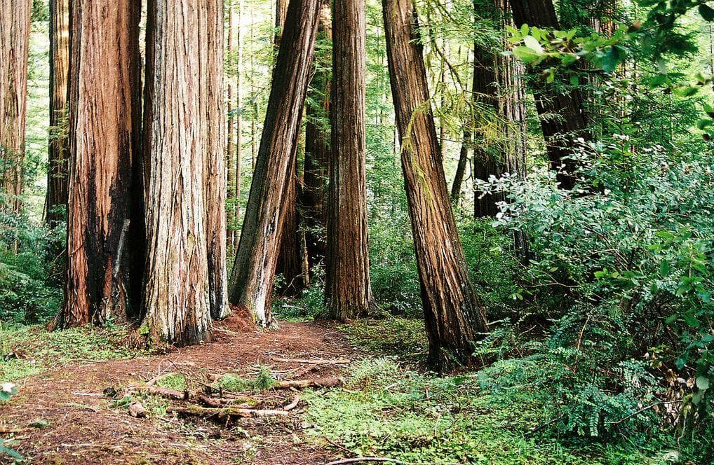 18 Incredible Star Wars Sets You Can Visit in Real Life