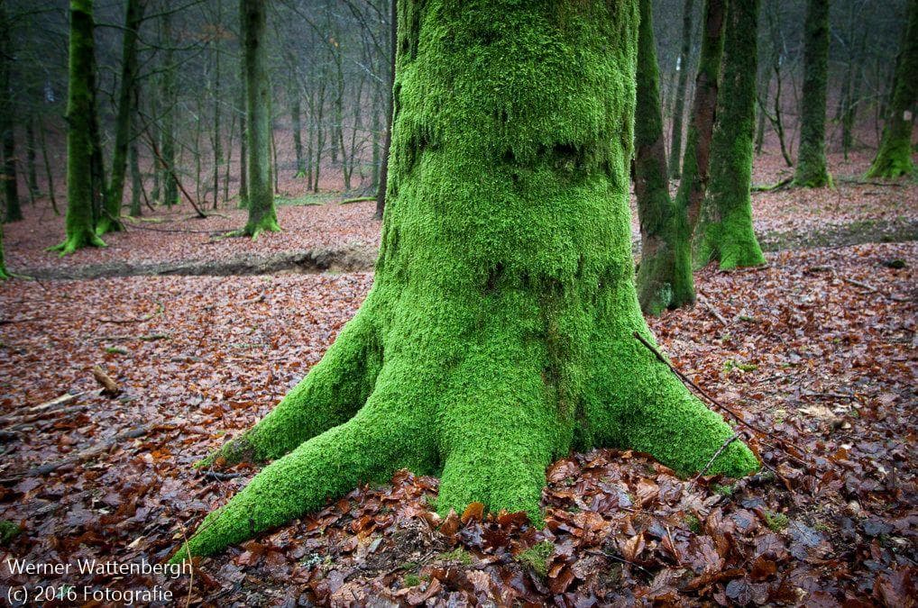 18 Incredible Lord of the Rings Sets You Can Visit