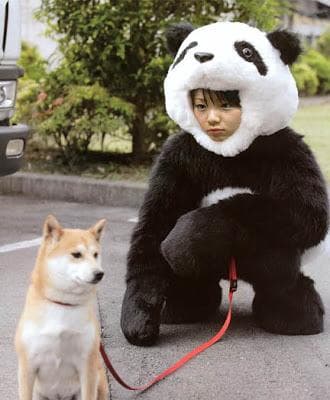 The 45 Most WTF Japan Photos Ever Taken