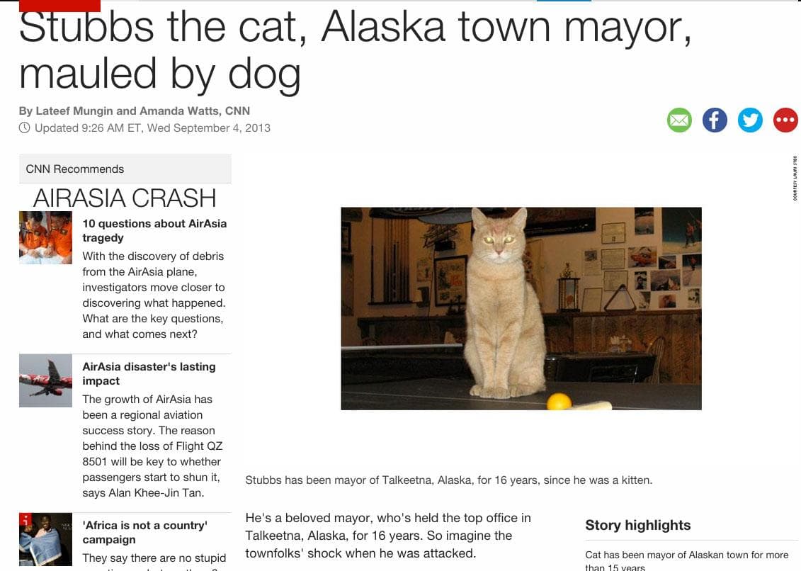 18 Cat News Headlines You Need to Read Right Meow