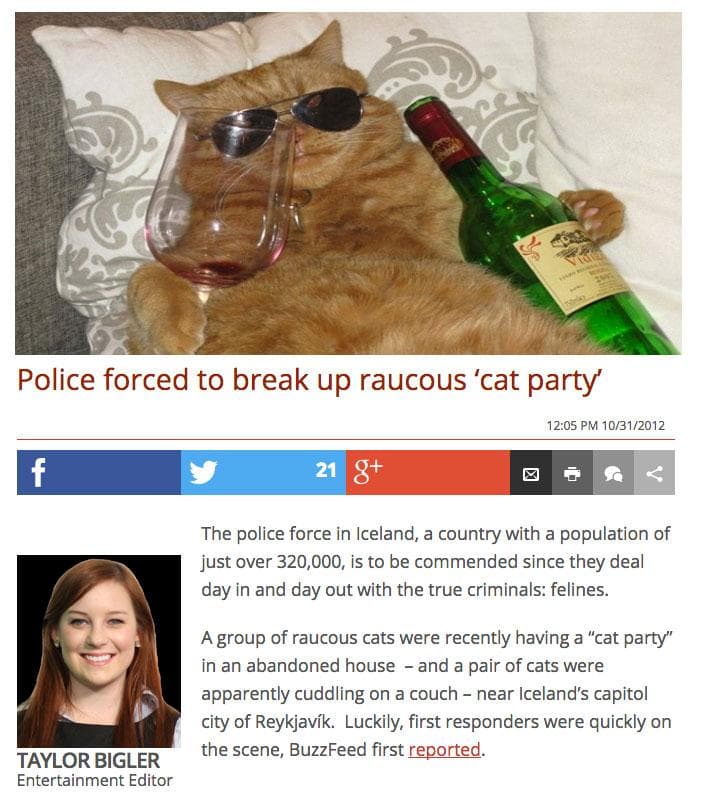 18 Cat News Headlines You Need to Read Right Meow