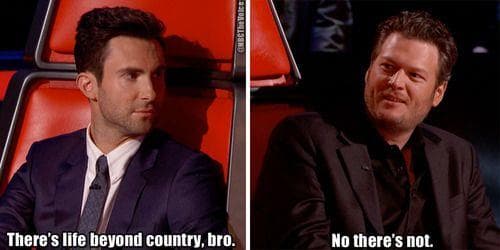 The Voice Memes Only Fans Will Understand