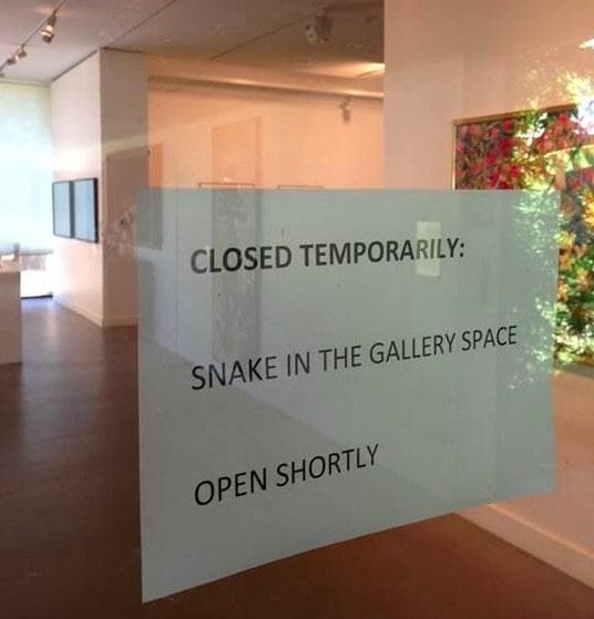 The Most Australian Things That Ever Happened
