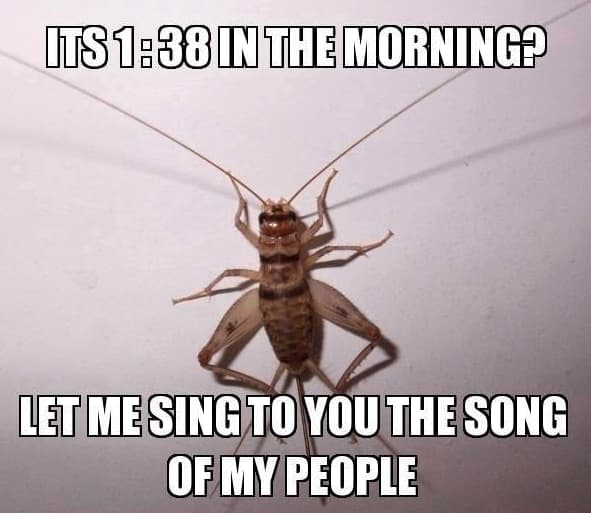 The Most Australian Things That Ever Happened