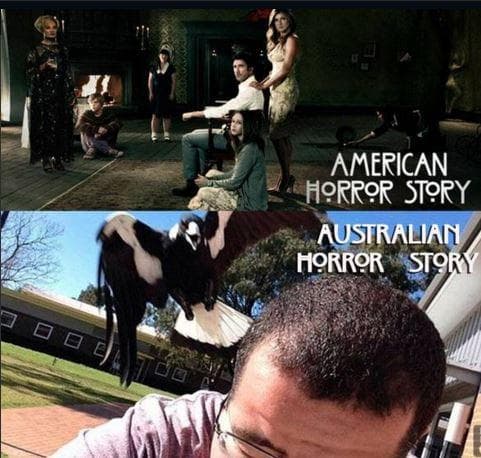 The Most Australian Things That Ever Happened