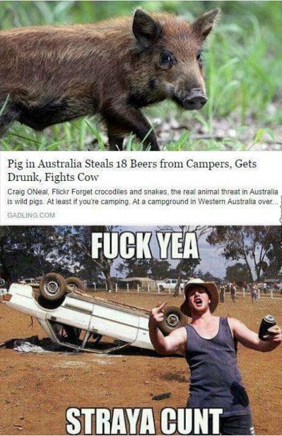 The Most Australian Things That Ever Happened