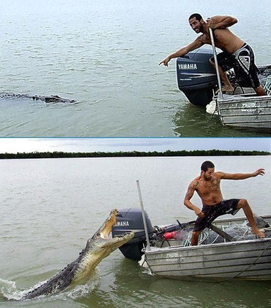 The Most Australian Things That Ever Happened